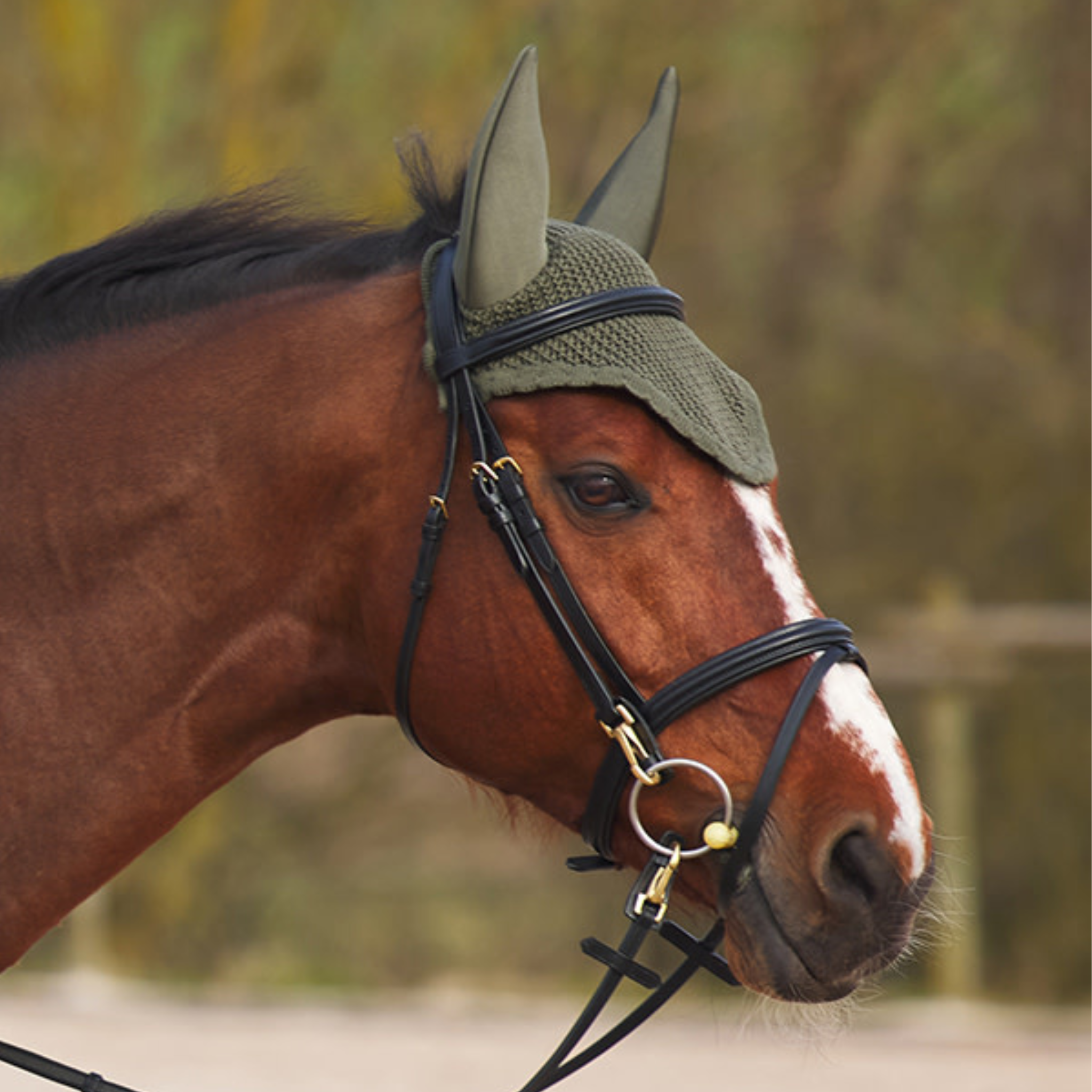 EAR NETS – The Vermont Horse Country Store